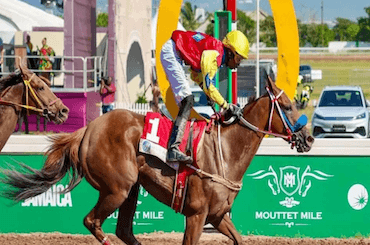 Mouttet Mile Invitational - Caribbean Events